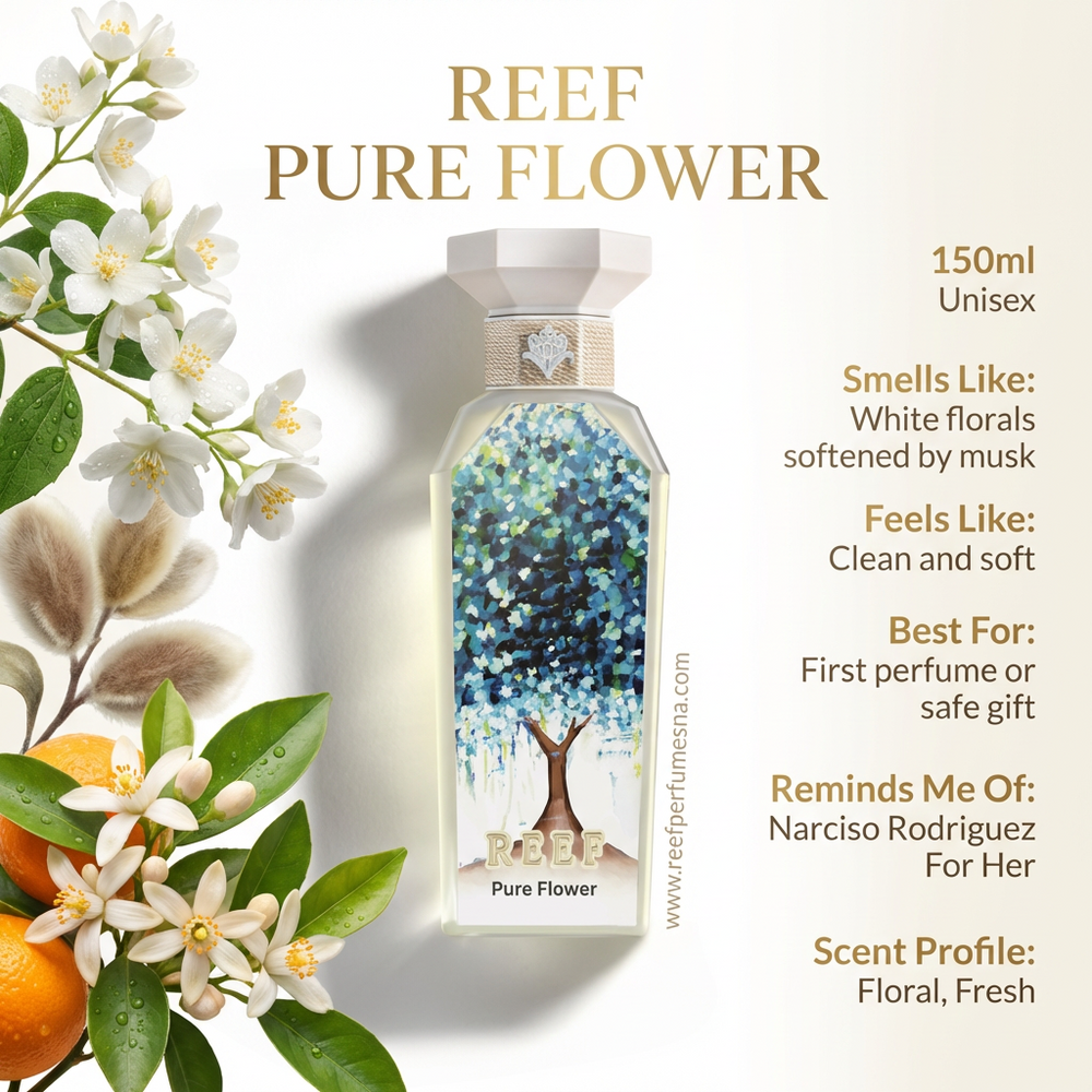 REEF PERFUMES NORTH AMERICA